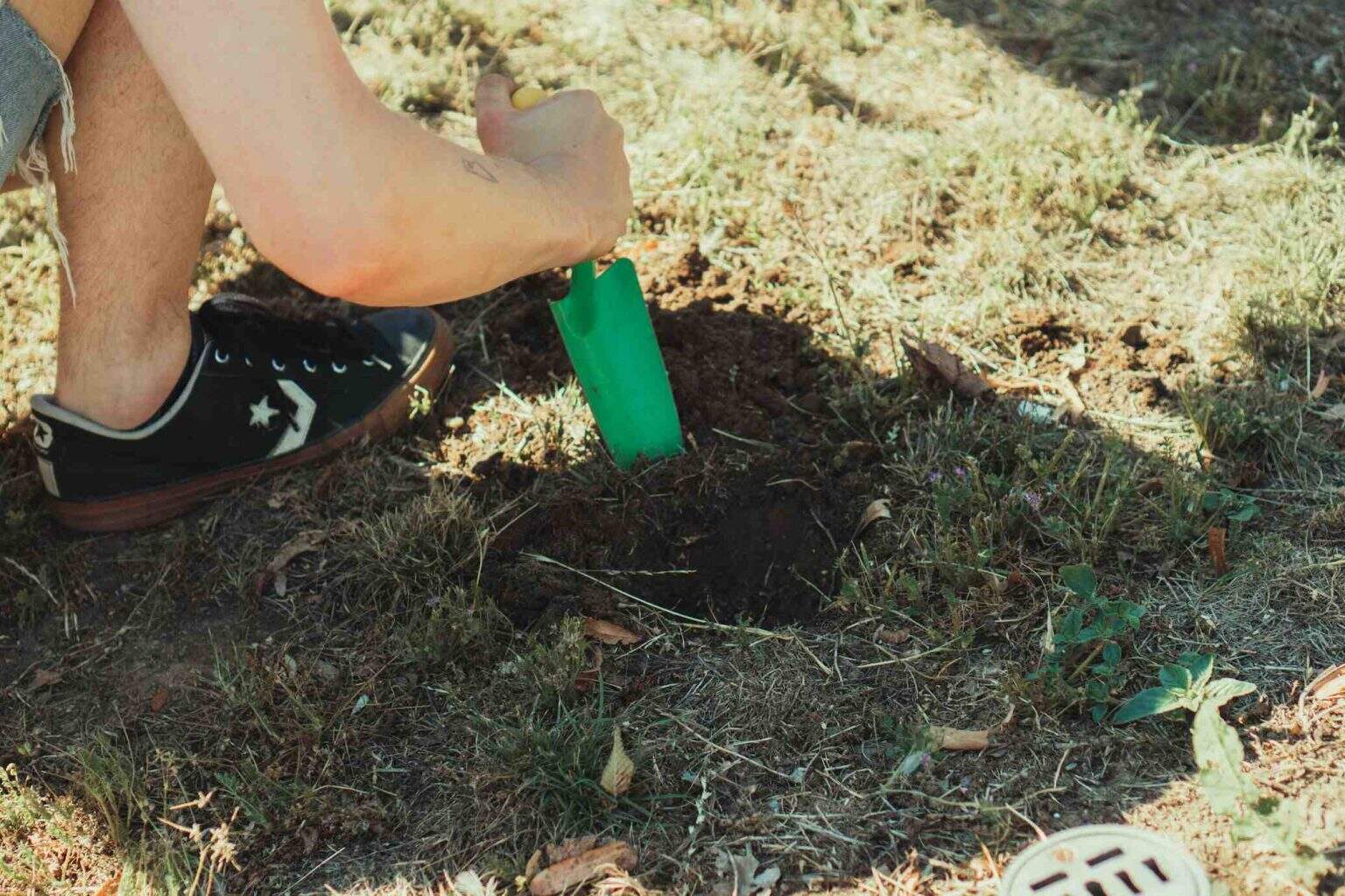 How to Dig a Hole Without a Shovel: 3 Wild Methods That Actually Work